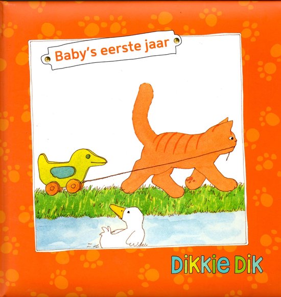 Dikkie Dik Baby's eerste jaar • deboekentas.nl