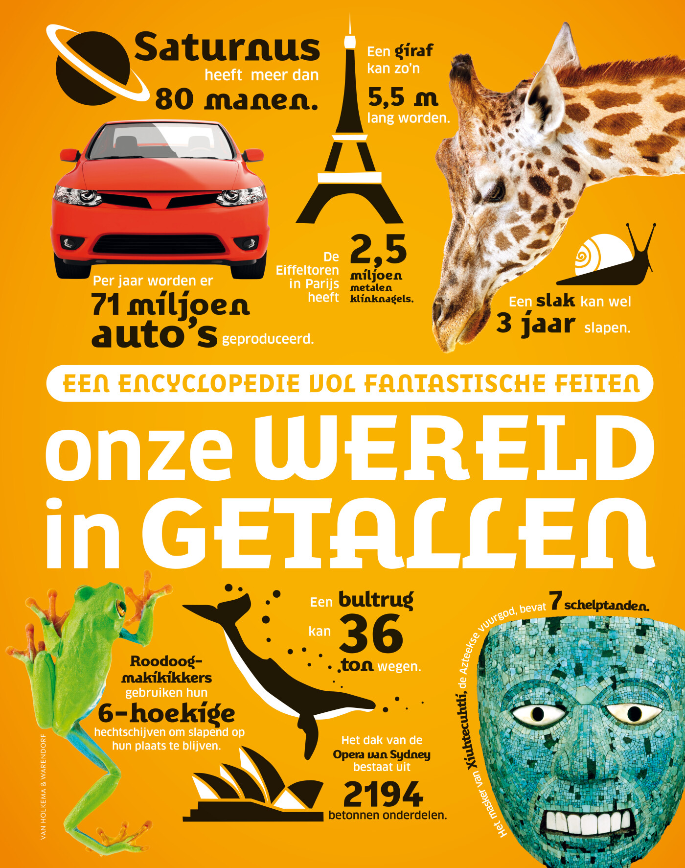 Onze wereld in getallen • deboekentas.nl
